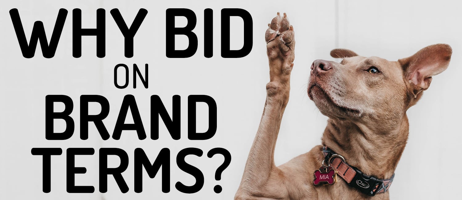5 Reasons You Should Always Bid On Your Brand Name And The Biggest 5-reasons-you-should-always-bid-on-your-brand-name-and-the-biggest
